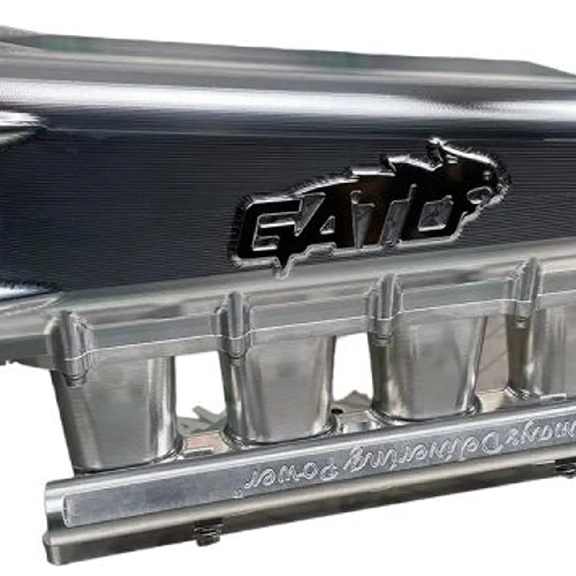 Gato – Outsider Garage